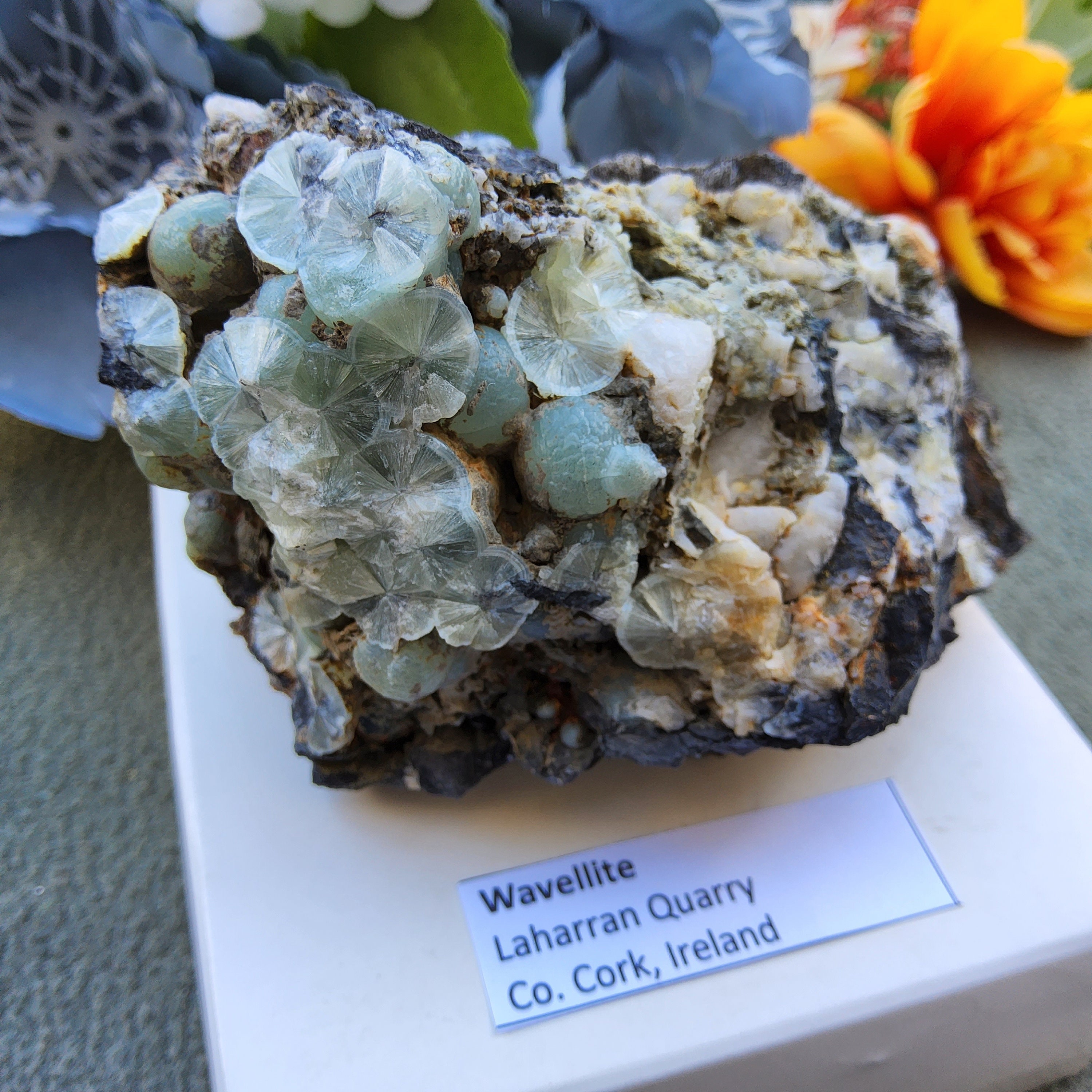Wavellite Crystal From Ireland, Laharran Quarry, Cork, Rare Mineral ...