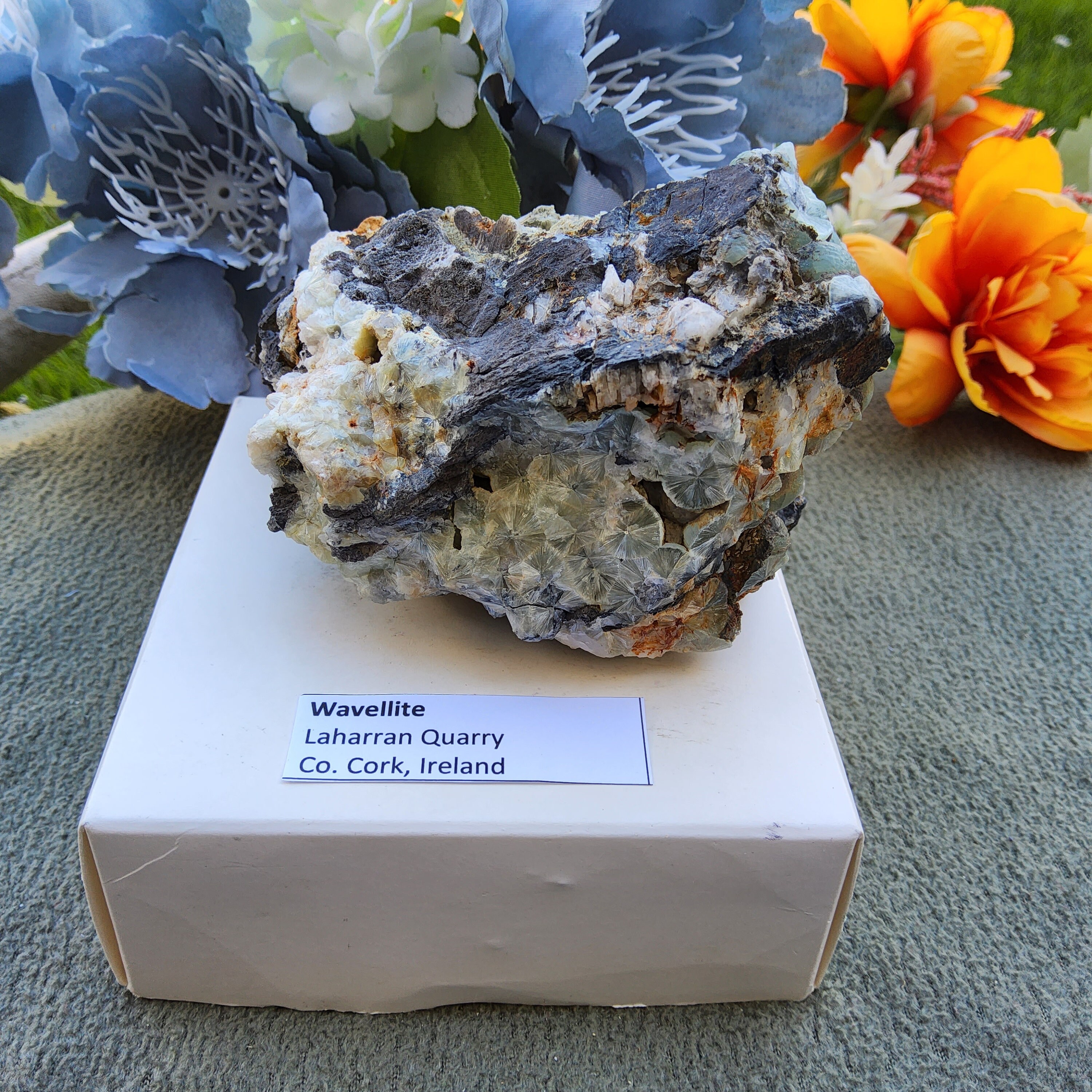 Wavellite Crystal From Ireland, Laharran Quarry, Cork, Rare Mineral ...