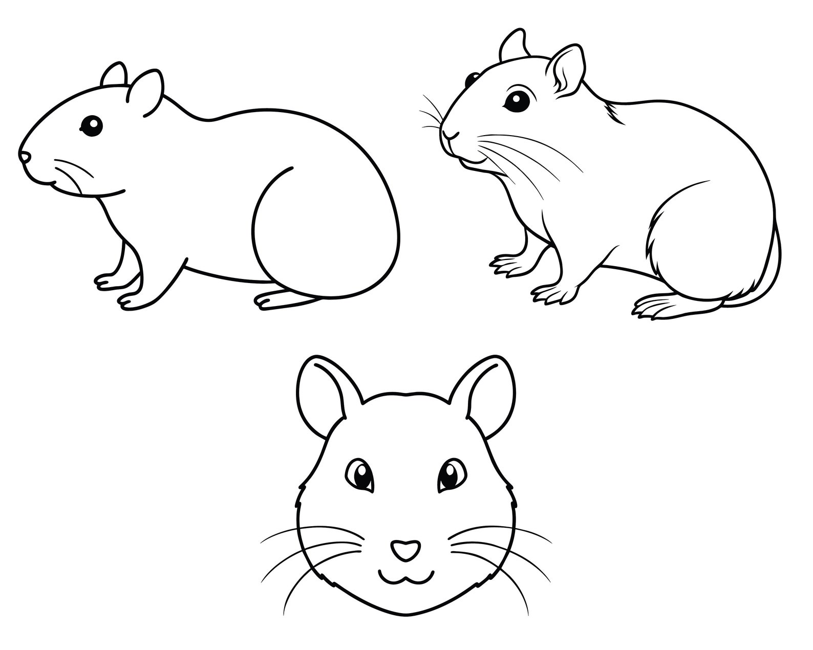 Hamster SVG, Hamster Clip Art, Hamster Cricut Svg, Hamster Outline Svg ...
