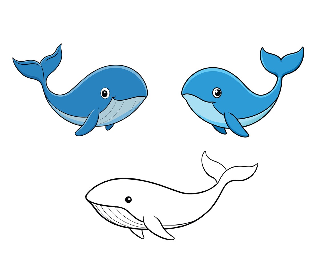 Whale SVG, Whale Clip Art, Whale Cricut Svg, Whale Outline Svg - Etsy