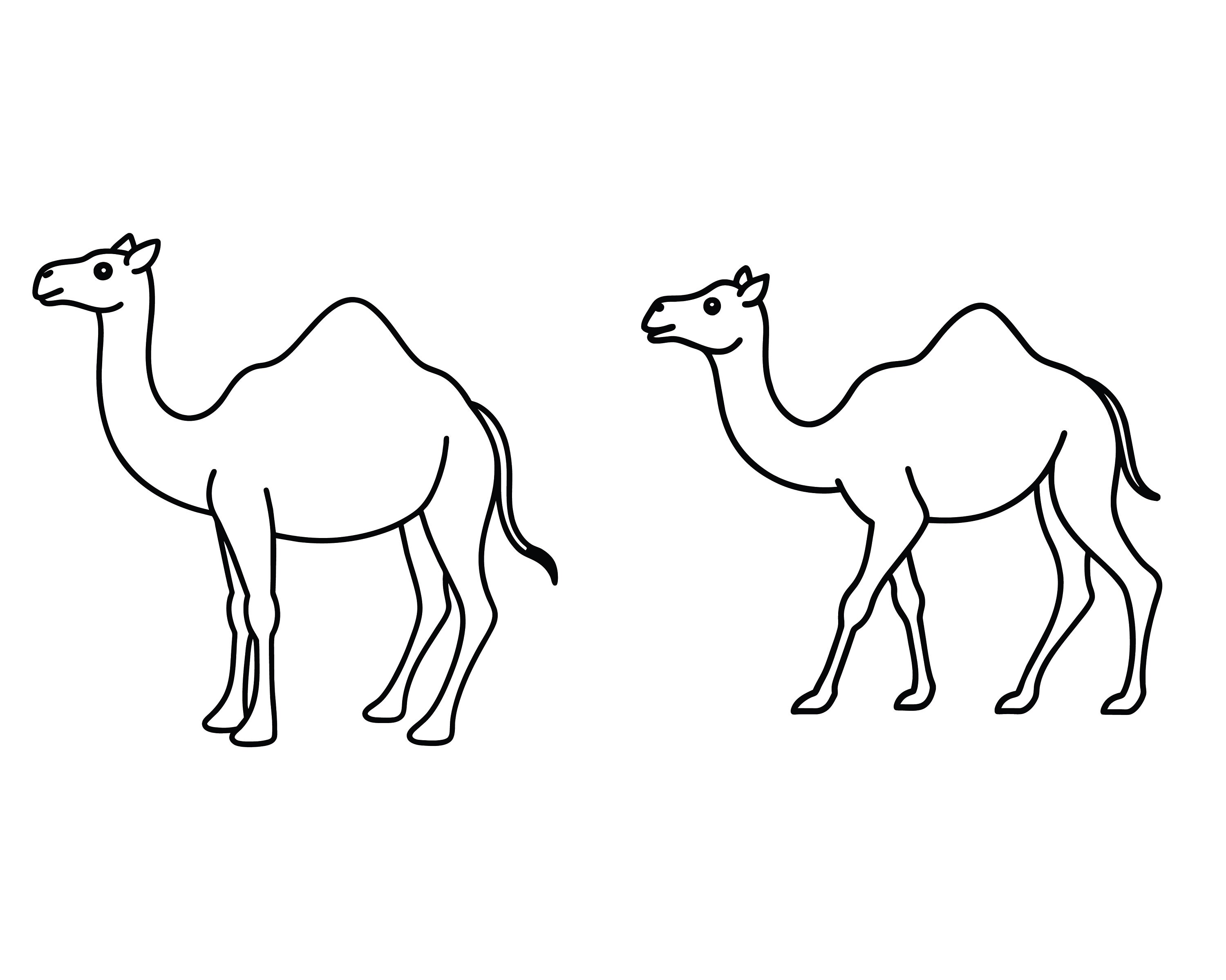 Camel SVG, Camel Clip Art, Camel Cricut Svg, Camel Outline Svg - Etsy