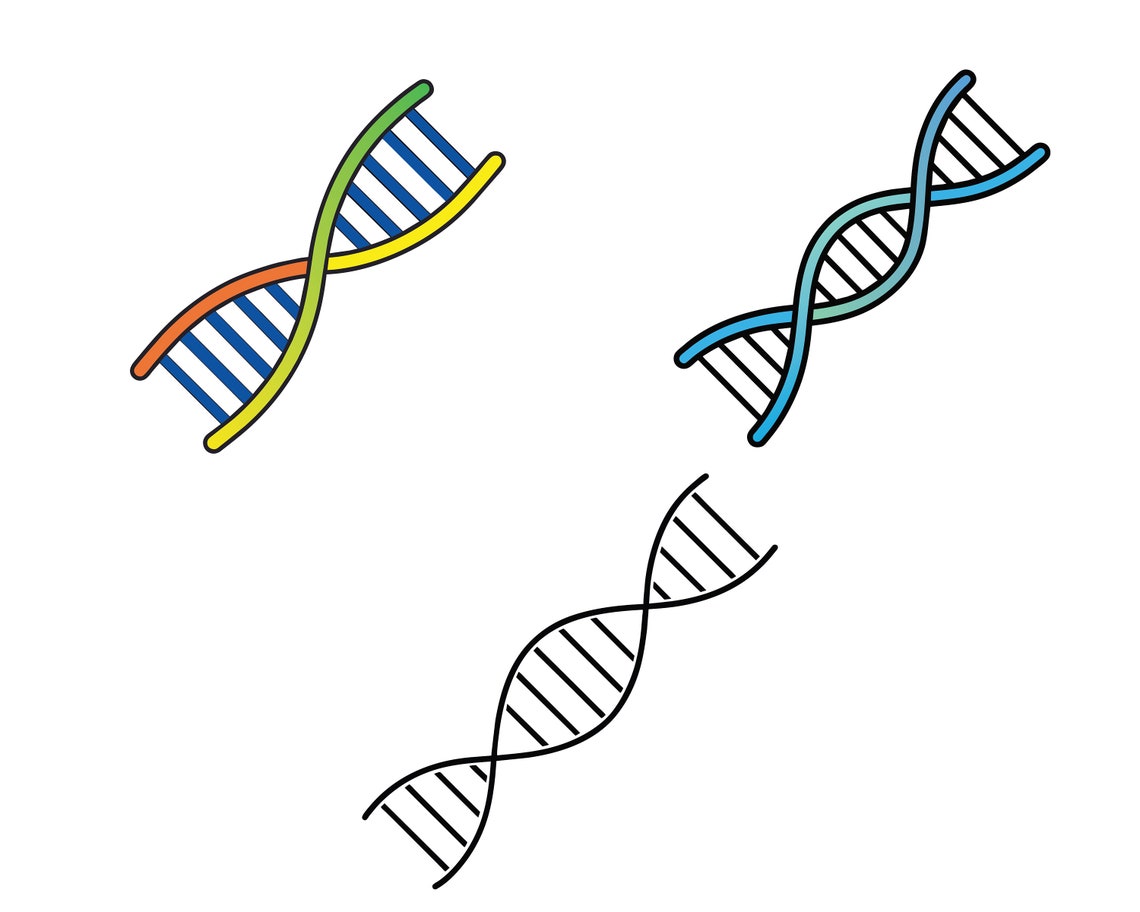 DNA Strand SVG, DNA Strand Outline Svg - Etsy