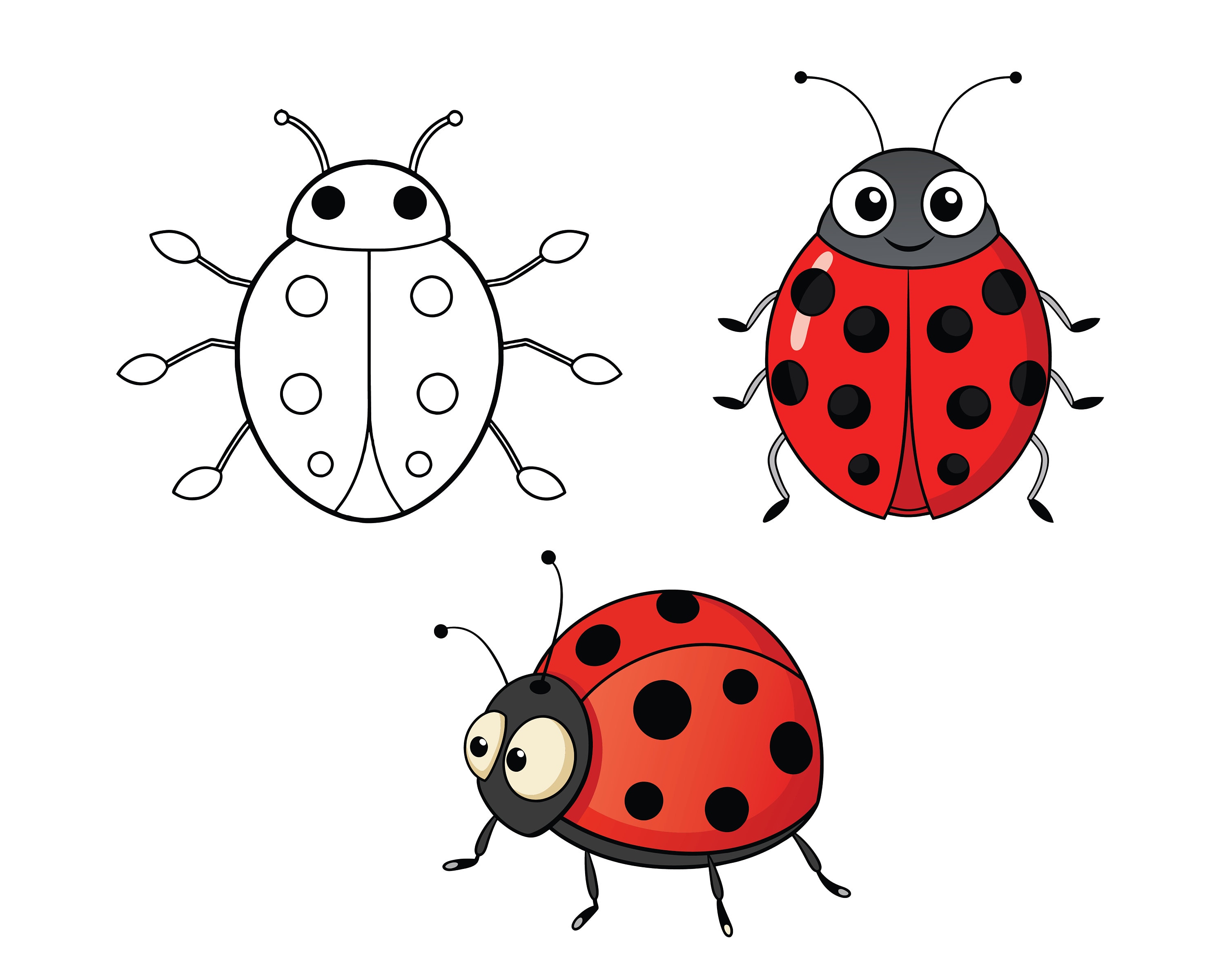 Ladybird SVG, Ladybird Clip Art, Ladybird Cricut Svg, Ladybird Outline ...