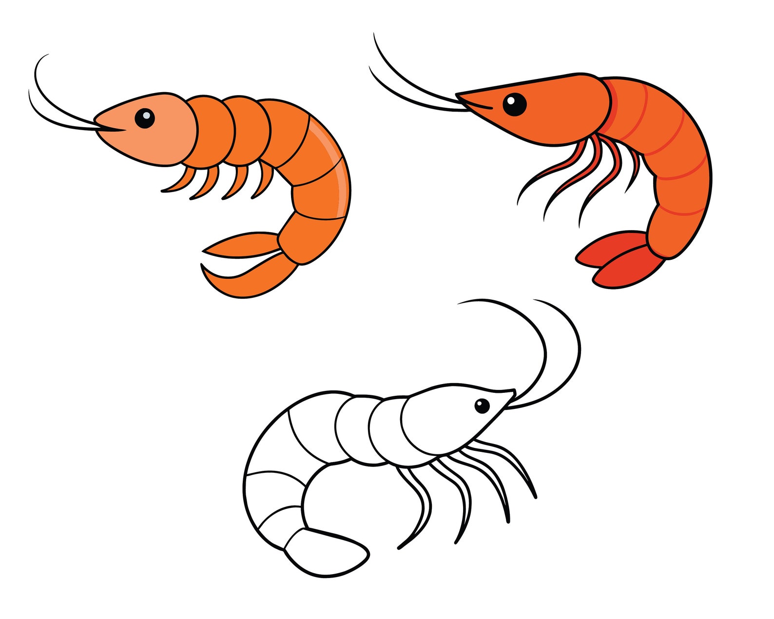Shrimp SVG, Shrimp Clip Art, Shrimp Cricut Svg, Shrimp Outline Svg - Etsy