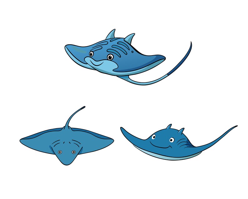 Stingray SVG - Etsy