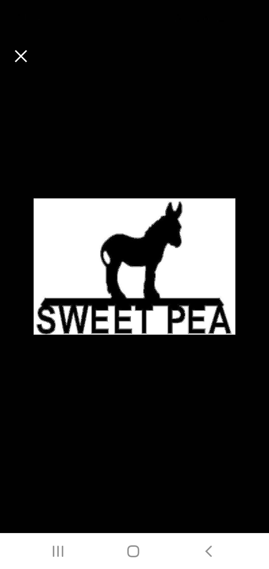 Personalized Donkey Stall Sign and Wall Hangings - Etsy