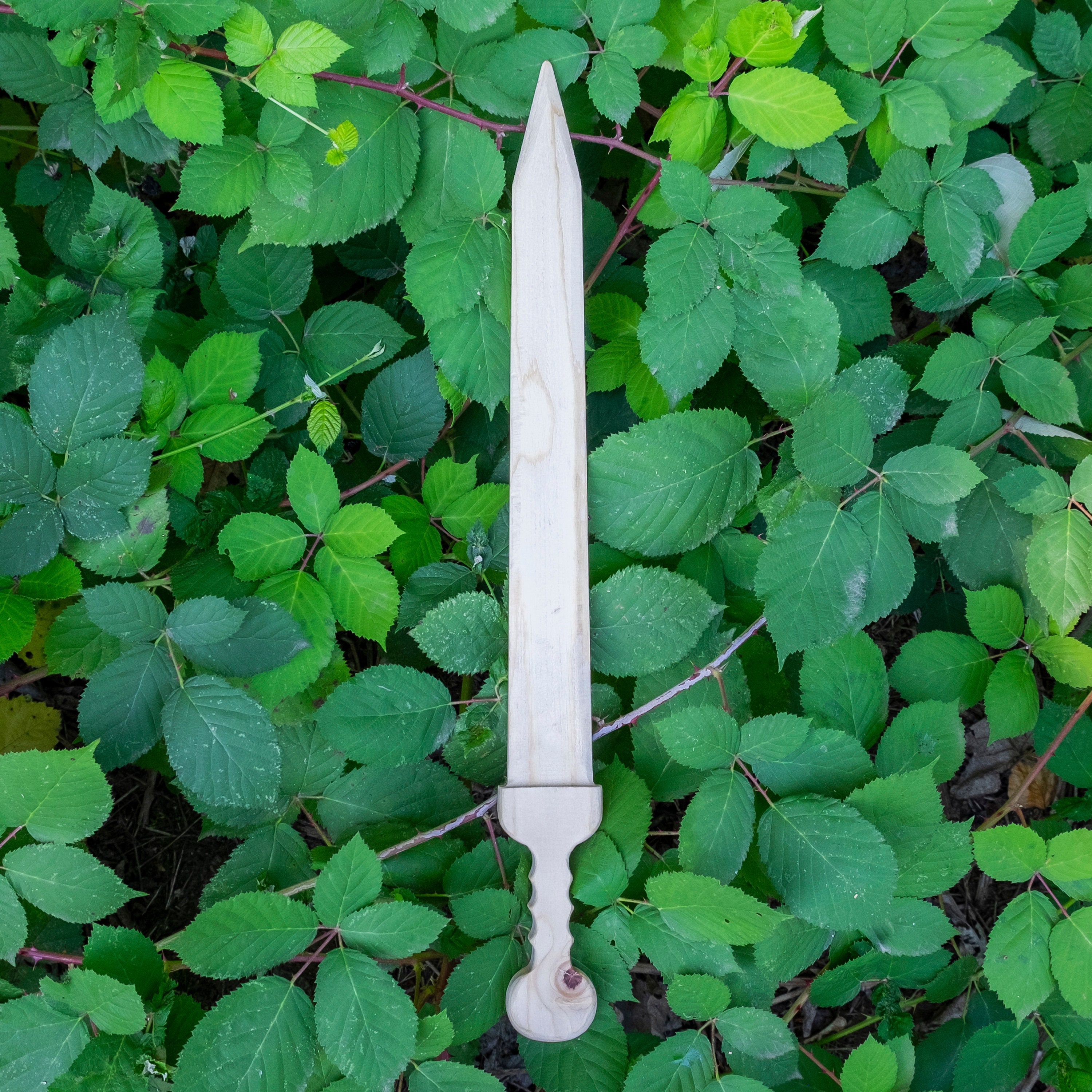 Sword Art Online ROUND WOODEN CLAN BUCKLER SOLDIER SHIELD & WOODEN ...