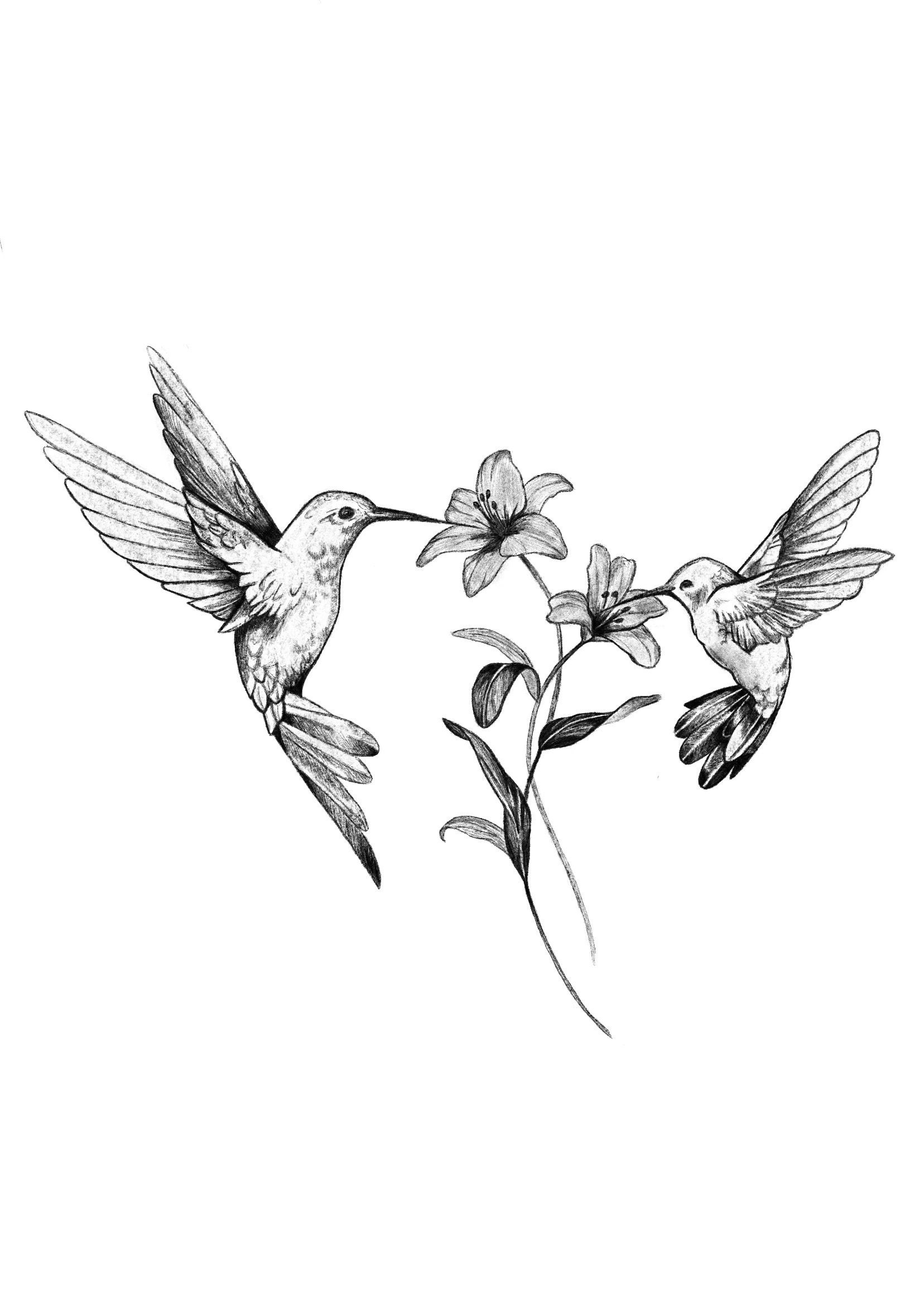 Hummingbird, Love, Digital - Etsy