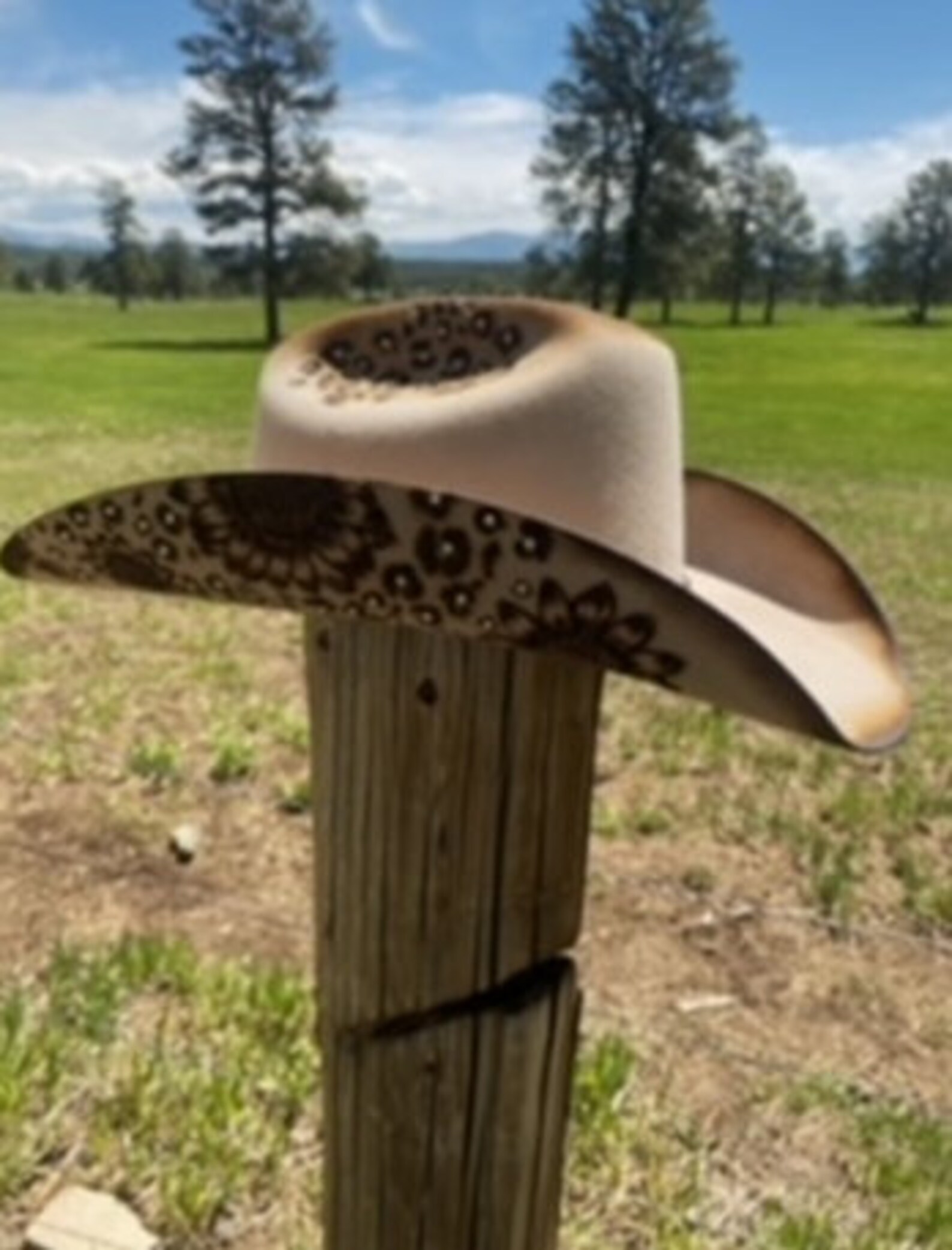 Leopard Sunflower Burned Cowboy Hat - Etsy
