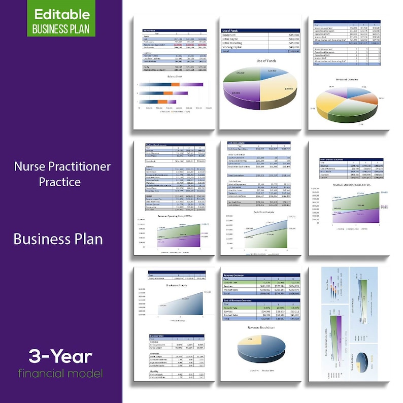 Nurse Practitioner Business Plan Template - Etsy