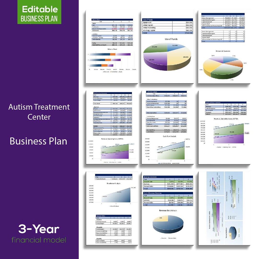 Autism Treatment Center Business Plan Template - Etsy