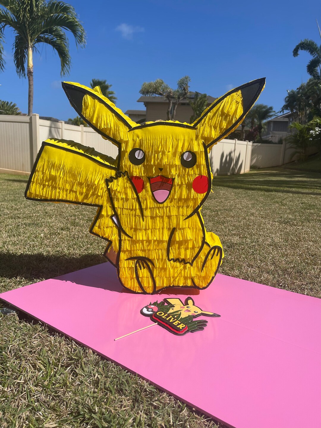 Custom Pikachu Piñata – Pokémon Party, Birthday Decoration, Handmade ...