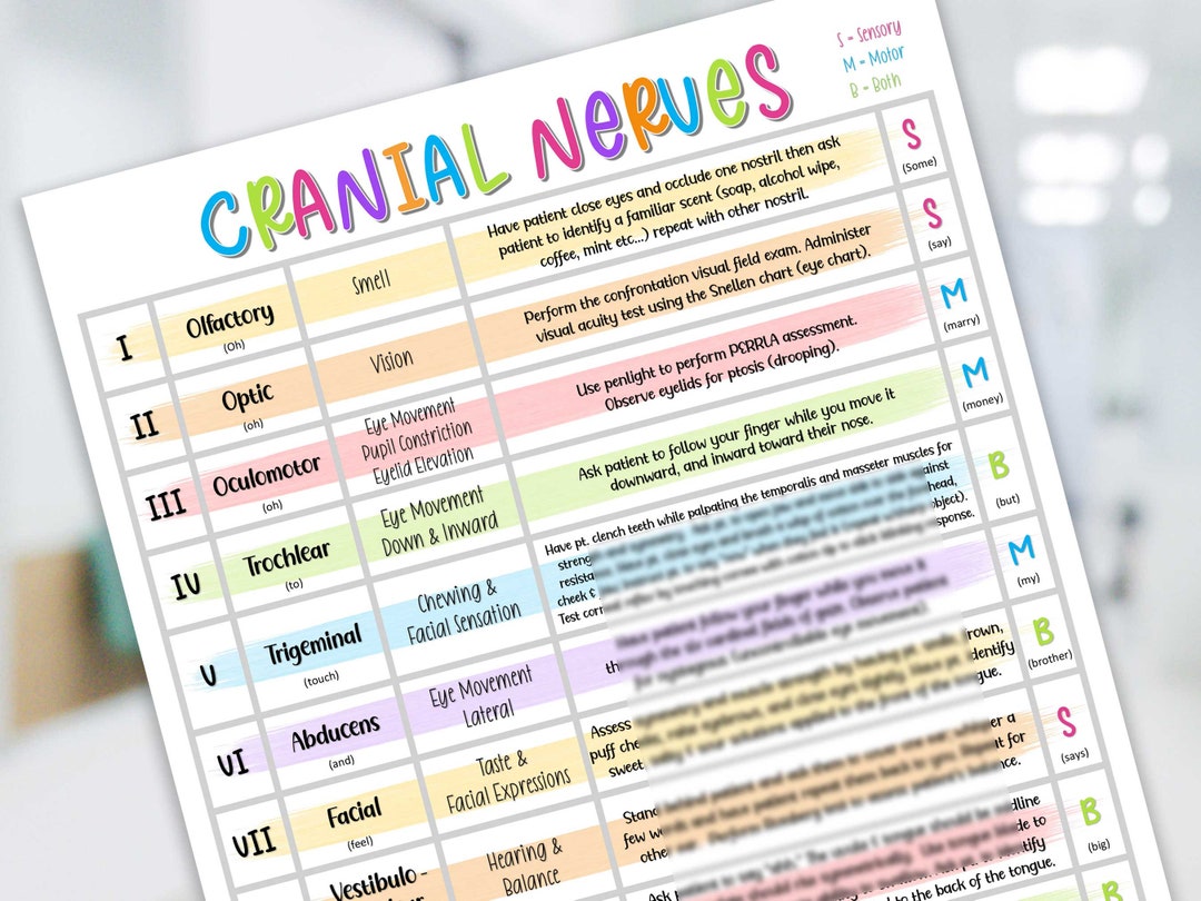 Cranial Nerves Study Guide - Cranial Nerves Cheat Sheet - Cranial ...