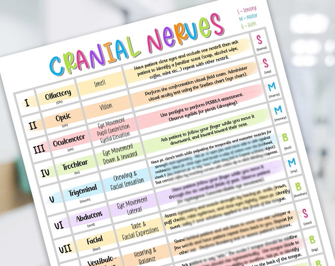 Cranial Nerve Chart Sticker, SLP, Occupational Therapist, Grad School ...