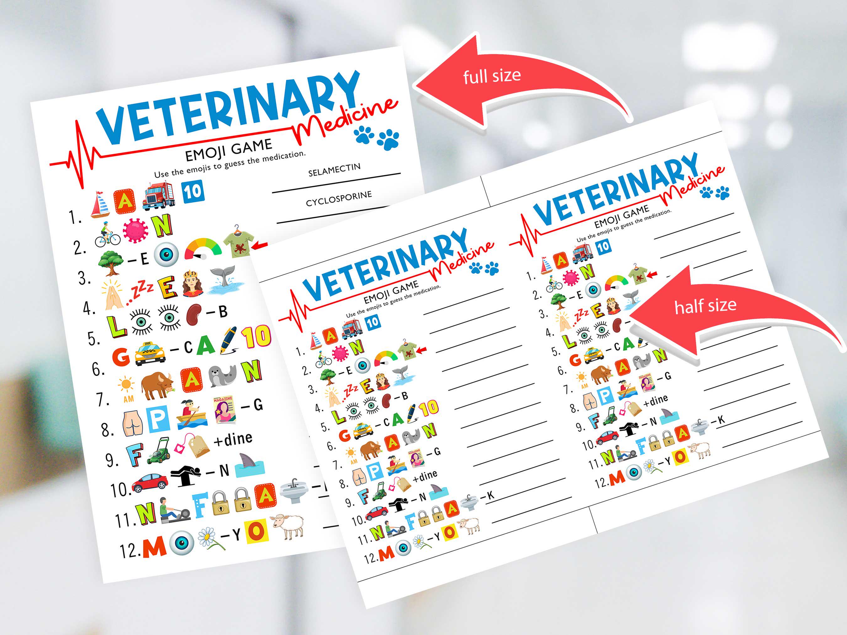 Veterinary Medication Game | Vet Tech Game | Vet Tech Icebreaker | Vet ...