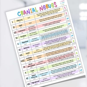 Cranial Nerves Study Guide - Cranial Nerves Cheat Sheet - Cranial ...