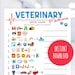 Veterinary Medication Game | Vet Tech Game | Vet Tech Icebreaker | Vet ...