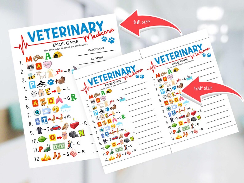 Veterinary Medication Game | Vet Tech Game | Vet Tech Icebreaker | Vet ...