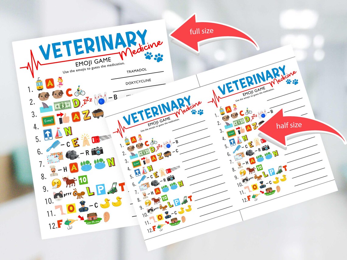 Veterinary Medication Game | Vet Tech Game | Vet Tech Icebreaker | Vet ...