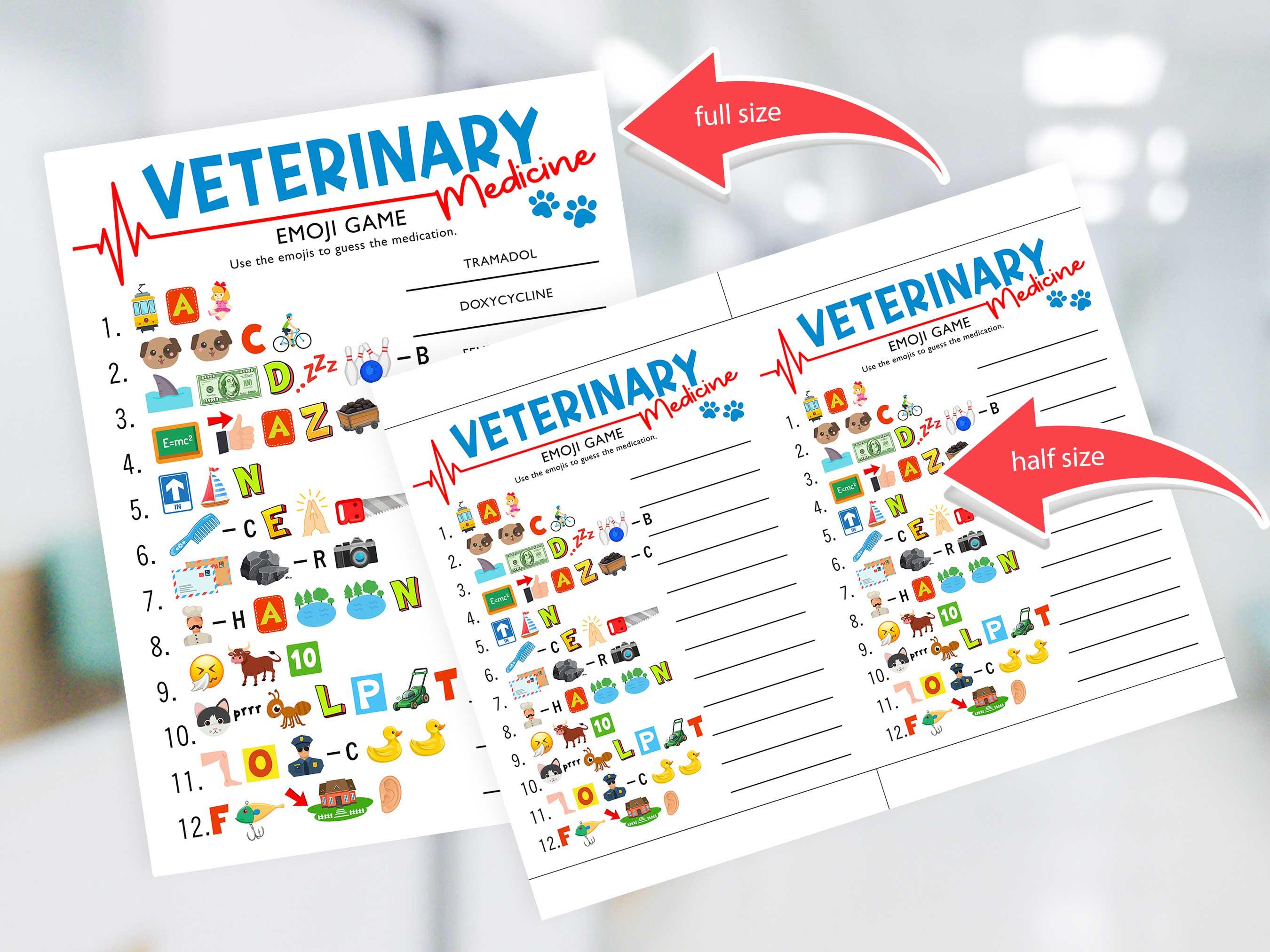 Veterinary Medication Game | Vet Tech Game | Vet Tech Icebreaker | Vet ...