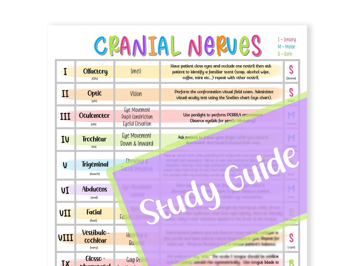 Cranial Nerves Study Guide Cranial Nerves Cheat Sheet Cranial Nerves ...
