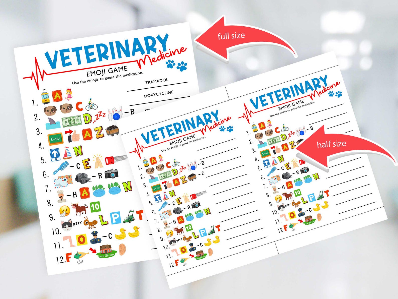 Veterinary Medication Game | Vet Tech Game | Vet Tech Icebreaker | Vet ...