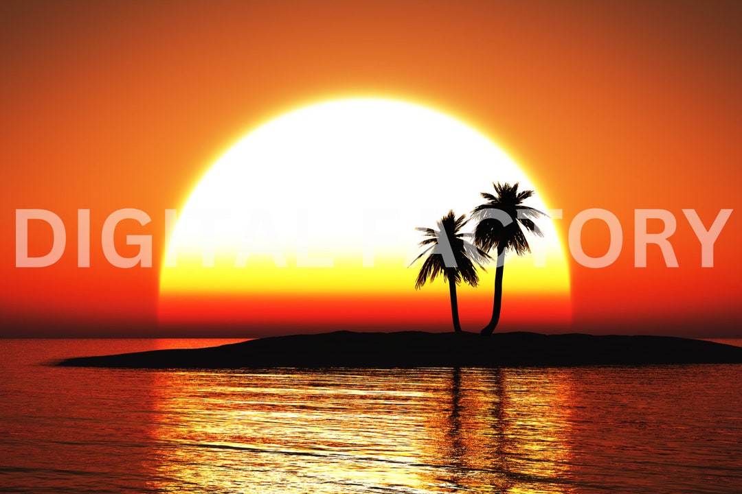 Beach Backdrop, Beach Palm Trees Background, Beach With Sun Backdrop ...
