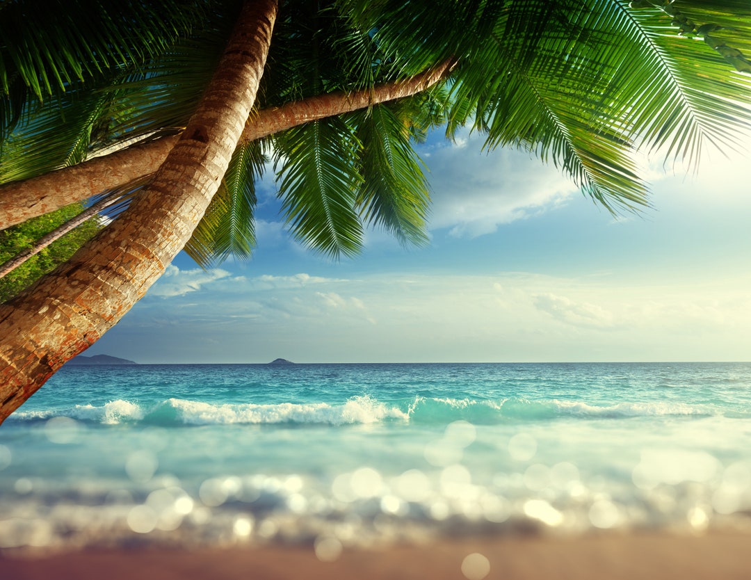 Beach Backdrop, Beach Palm Trees Background, Beach With Sun Backdrop ...