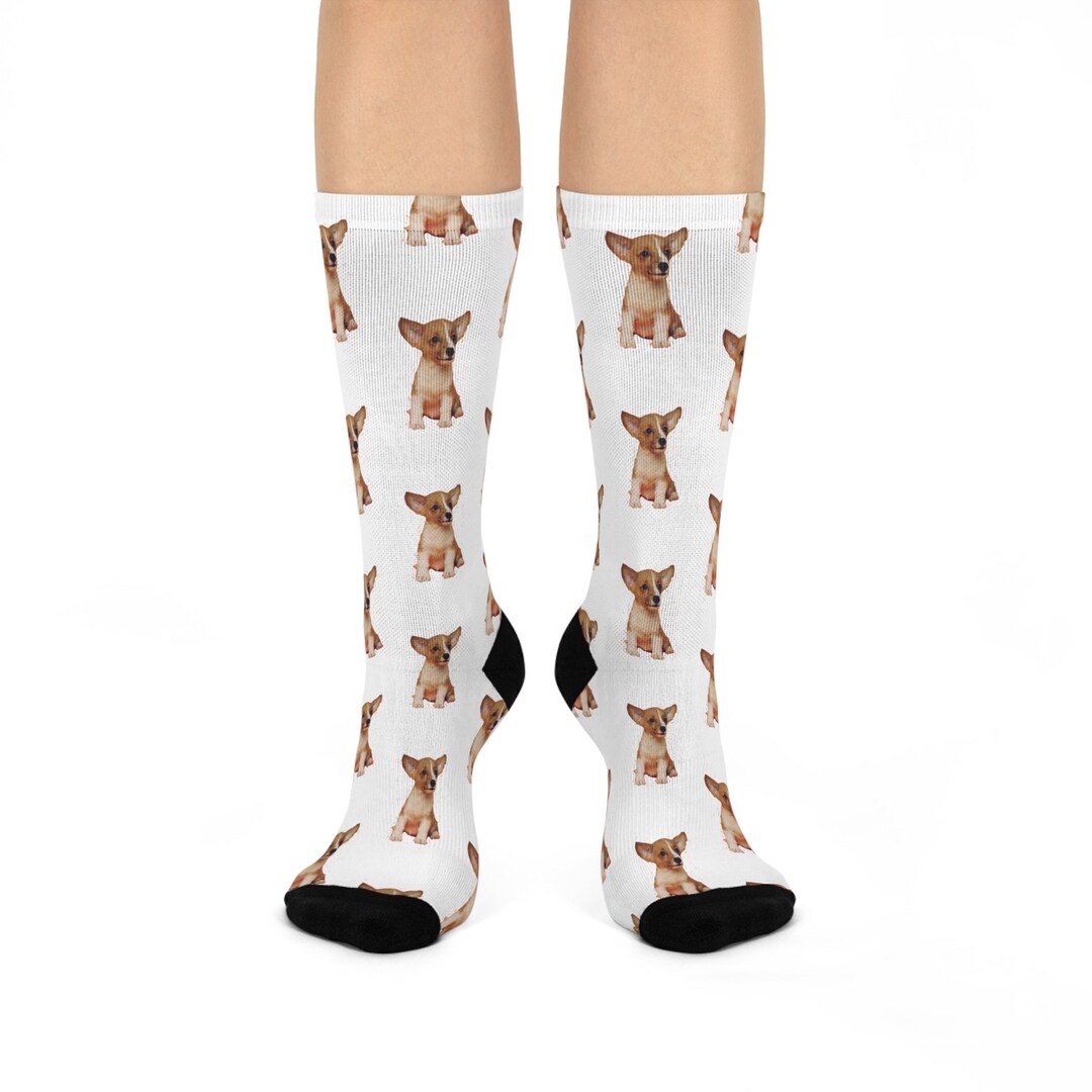 Corgi Design Socks. Dog Design Socks. - Etsy