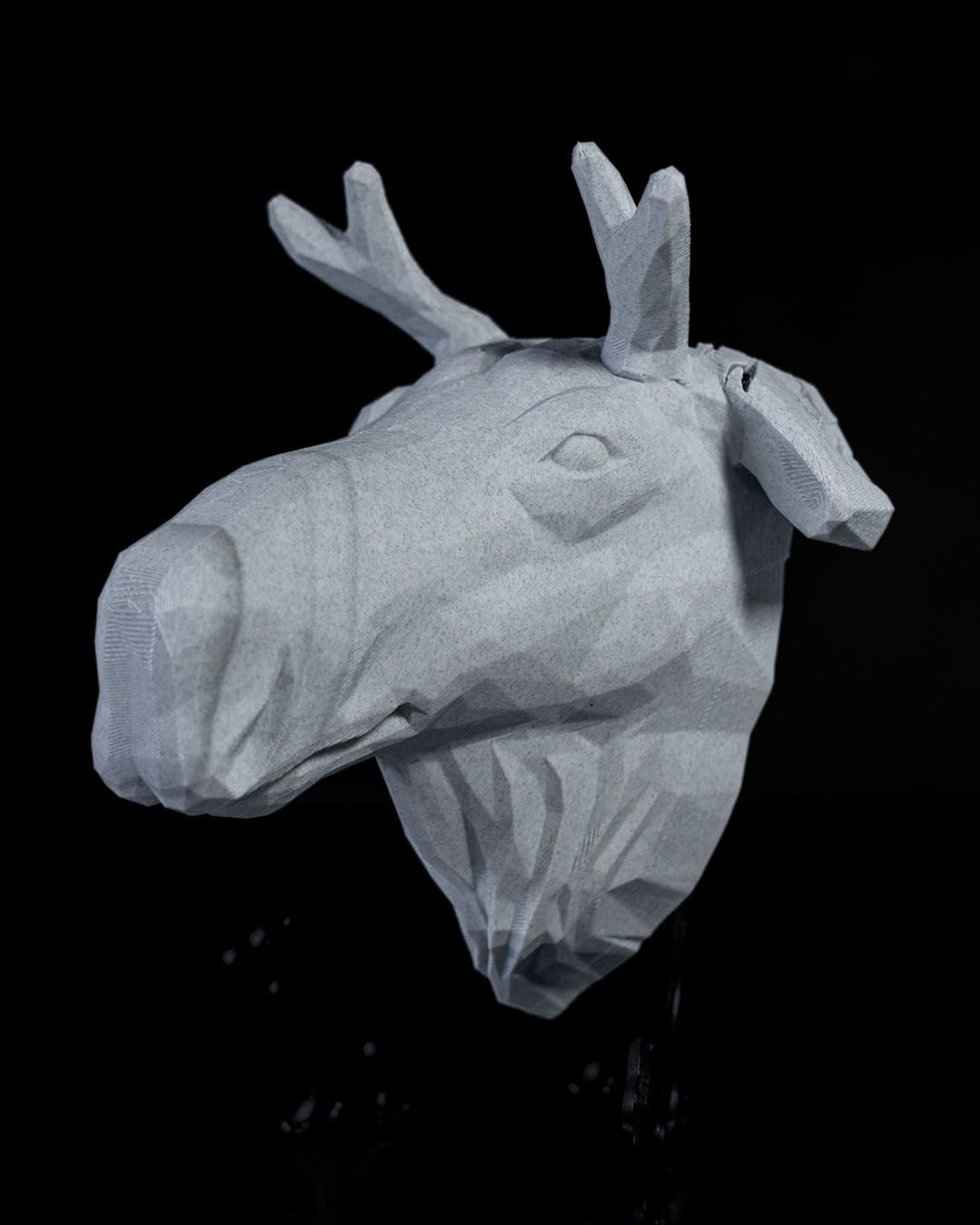 Moose Wall Light, Moose Mount, Moose Night Light - Etsy