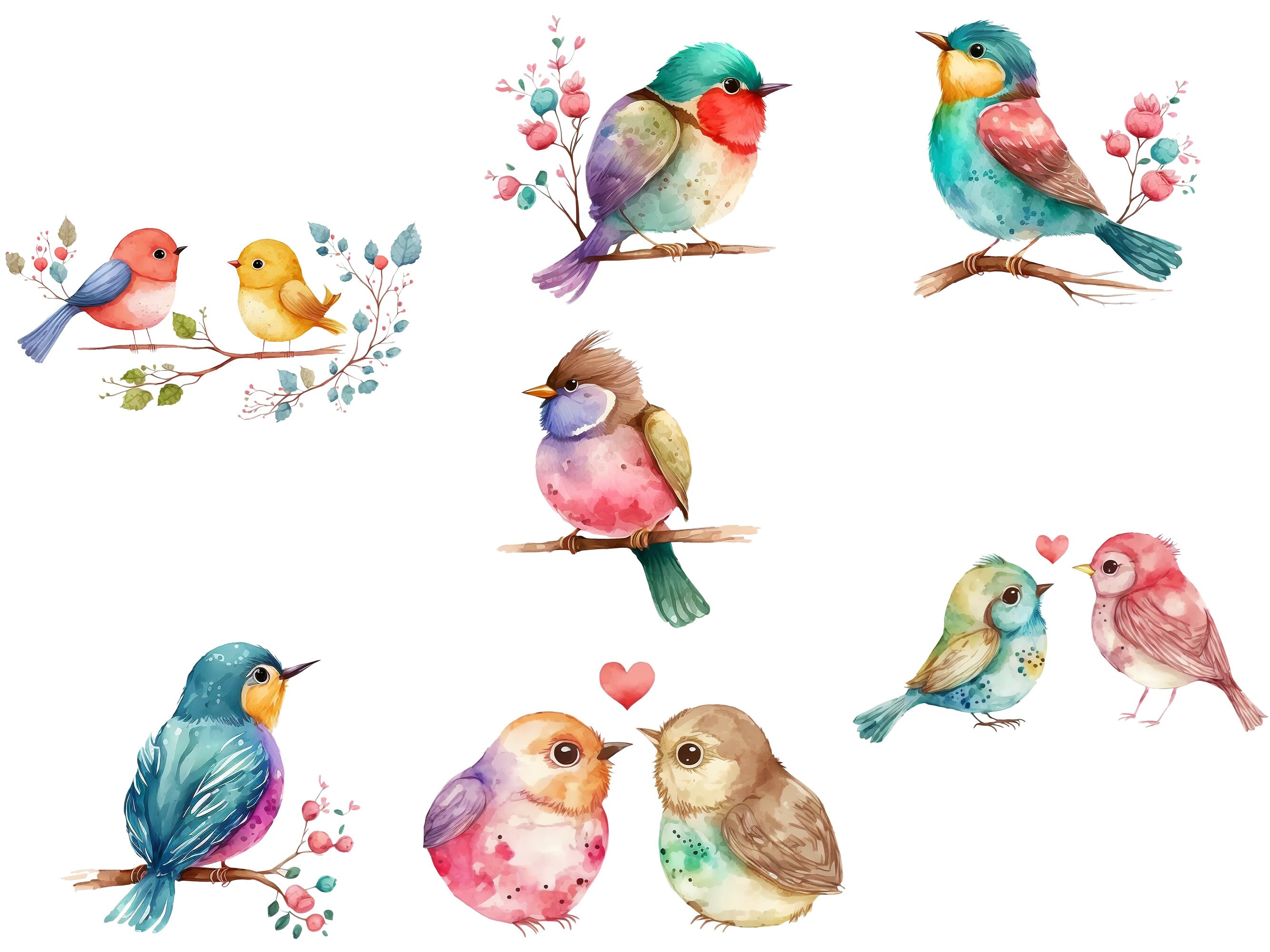 Watercolor Birds PNG Clipart Bundle Scrapbooking Bird Clip - Etsy