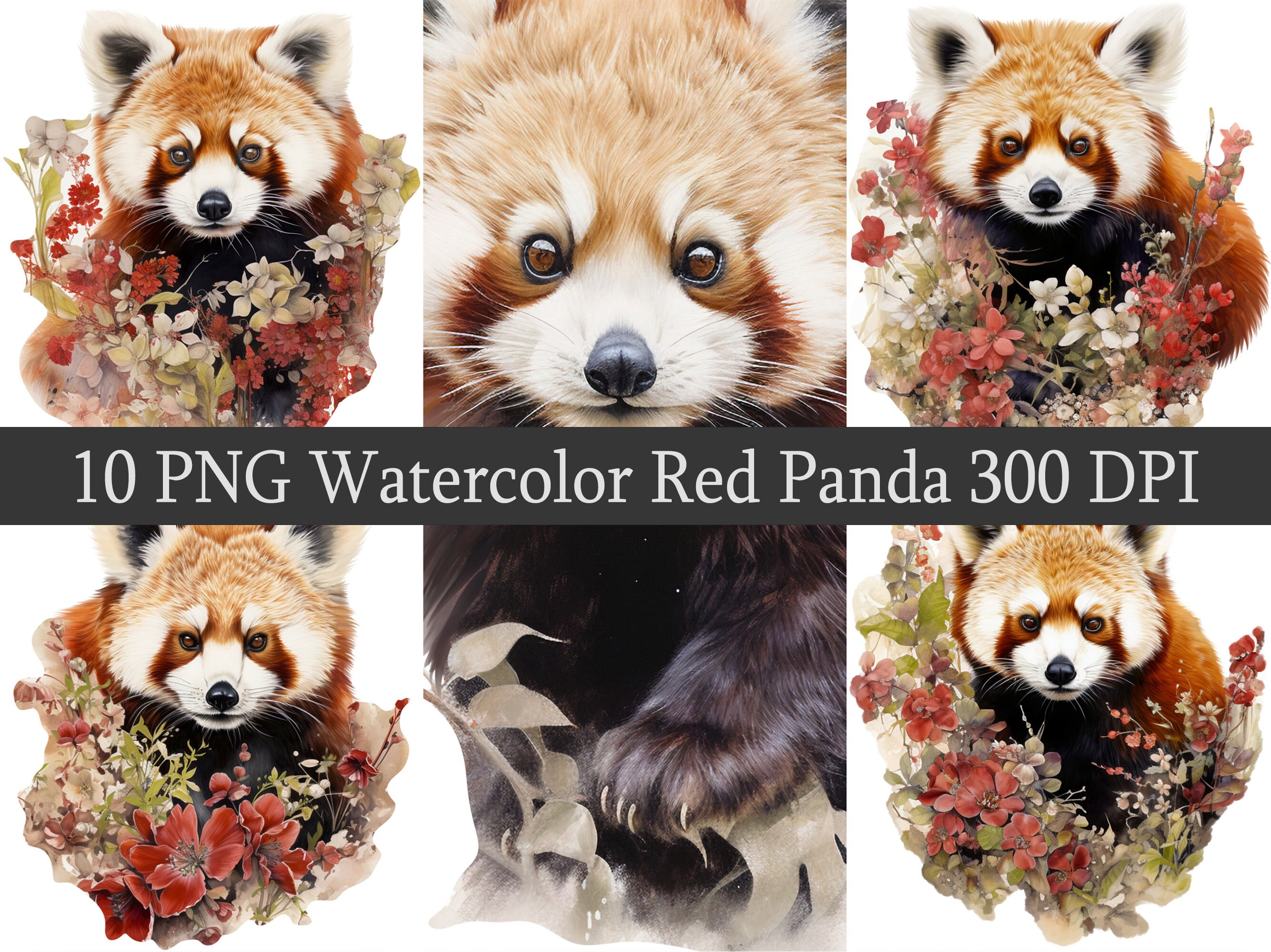 Watercolor Red Panda PNG Clipart Bundle Instant Download Red - Etsy