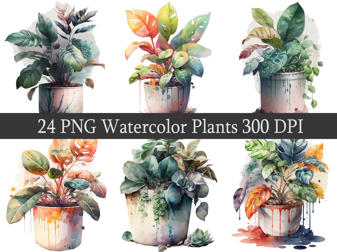 Watercolor Plants in a Pot PNG Clipart Bundle, Scrapbooking, Greenery ...