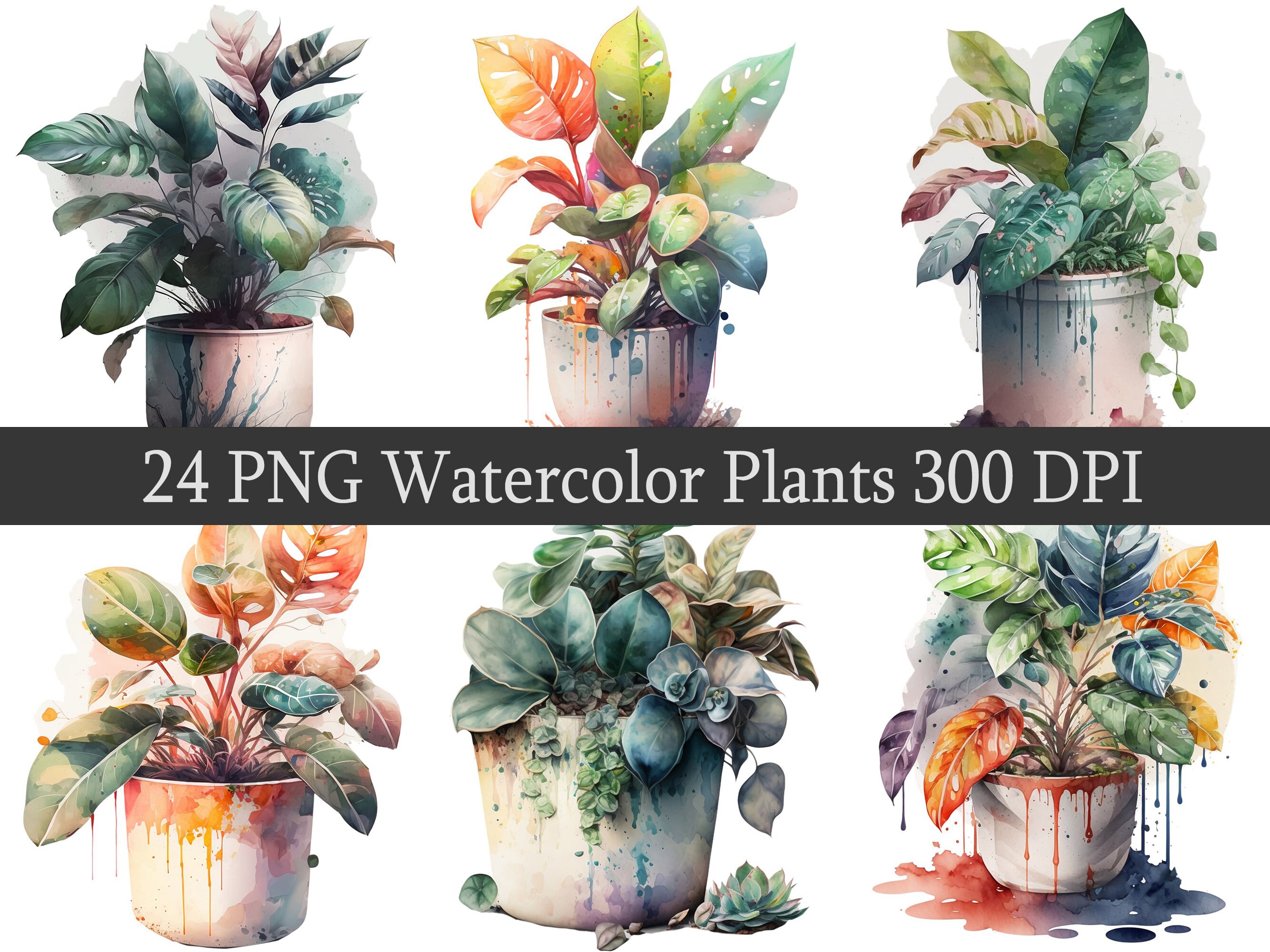 Watercolor Plants in a Pot PNG Clipart Bundle, Scrapbooking, Greenery ...
