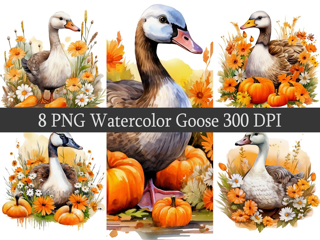 Watercolor Autumn Goose PNG Clipart Bundle, Instant Download, Cute Fall ...