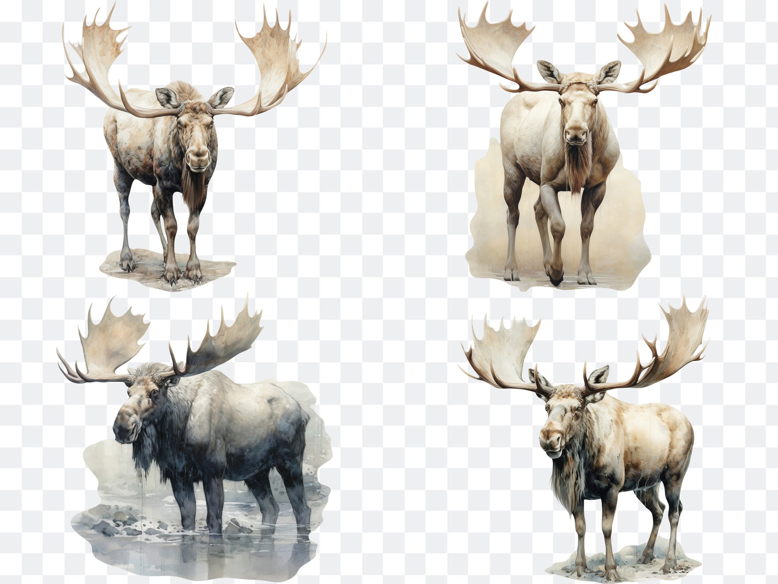 Watercolor Moose PNG Clipart Bundle, Instant Download, Printable ...