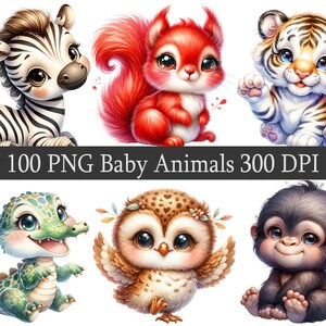 Watercolor Baby Animals Clipart PNG Clipart Bundle, Jungle Animals ...