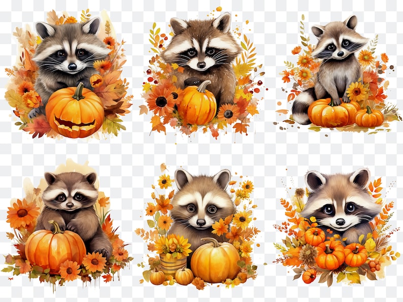 Watercolor Autumn Raccoon PNG Clipart Bundle, Instant Download, Cute ...