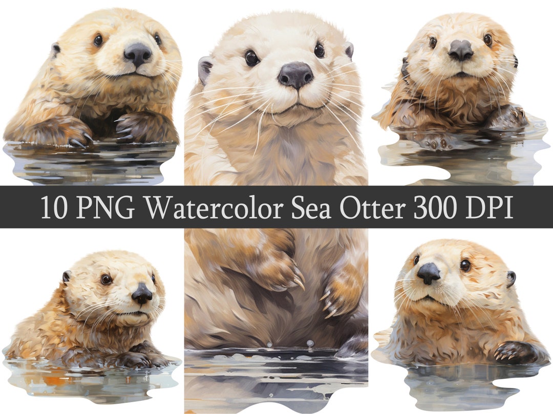 Watercolor Sea Otter PNG Clipart Bundle, Instant Download, Sea Otter ...