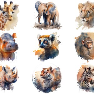Watercolor Safari Animals PNG Clipart Bundle, Africa Wild Animals, Lion ...