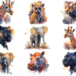 Watercolor Safari Animals PNG Clipart Bundle, Africa Wild Animals, Lion ...