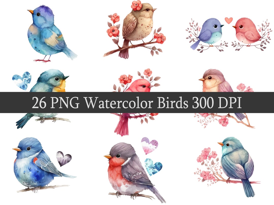 Watercolor Birds PNG Clipart Bundle, Scrapbooking, Bird Clip Art ...