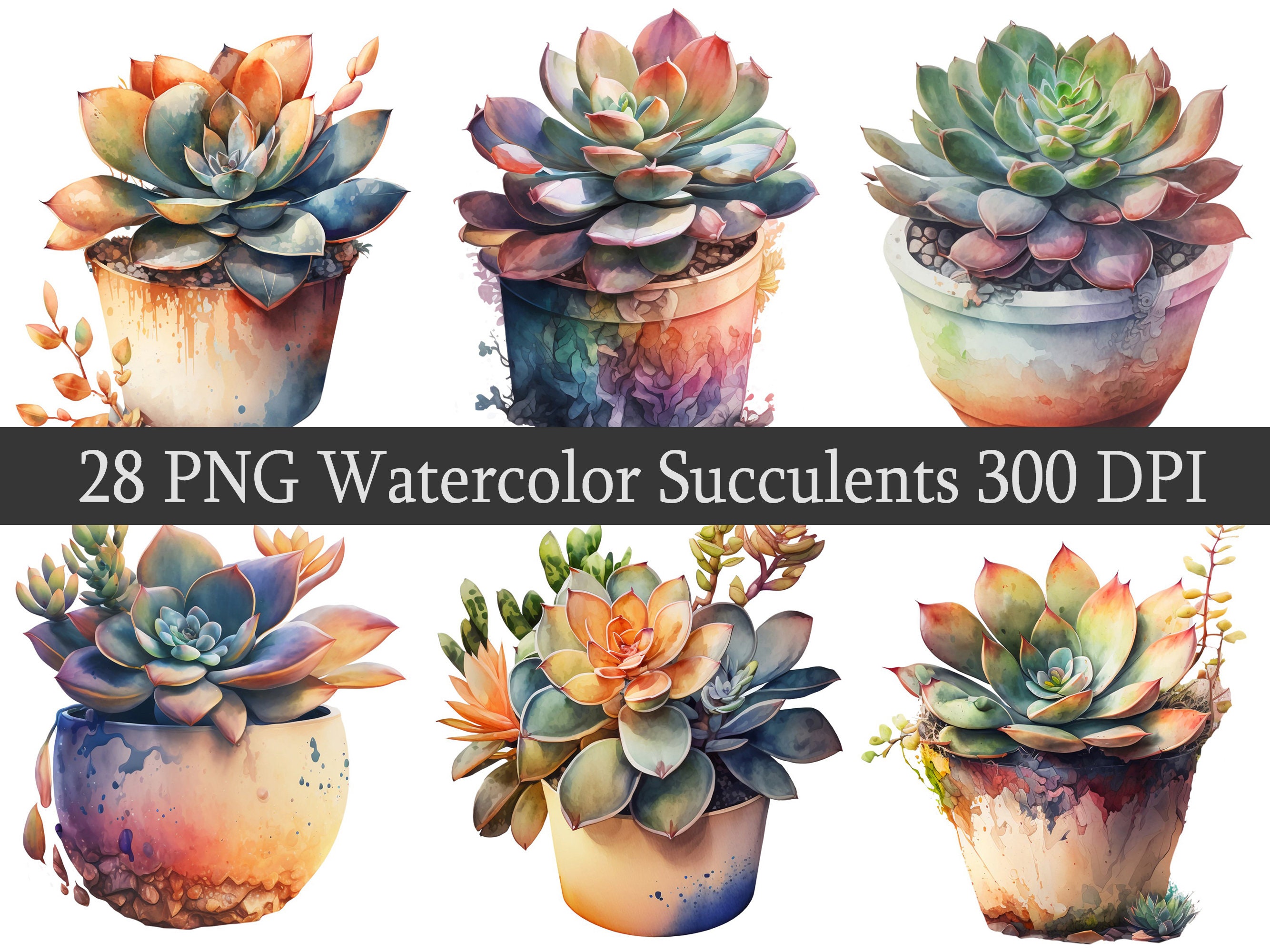 Watercolor Succulents PNG Clipart Bundle, Scrapbooking, Plants in a Pot ...