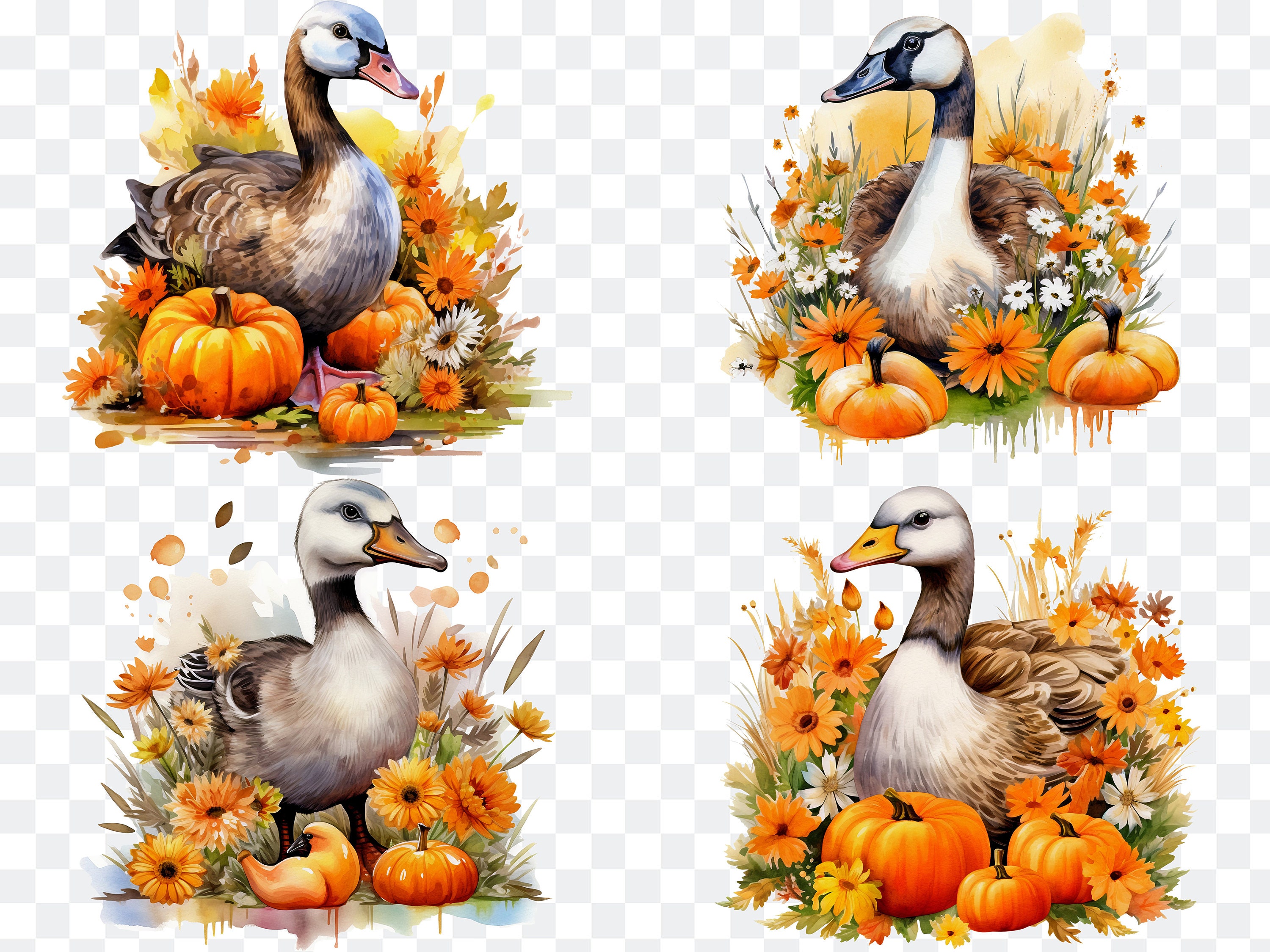 Watercolor Autumn Goose PNG Clipart Bundle Instant Download - Etsy