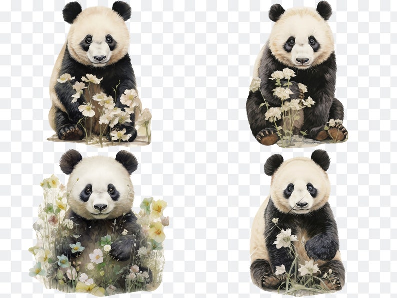Watercolor Panda PNG Clipart Bundle, Instant Download, Panda Clip Art ...