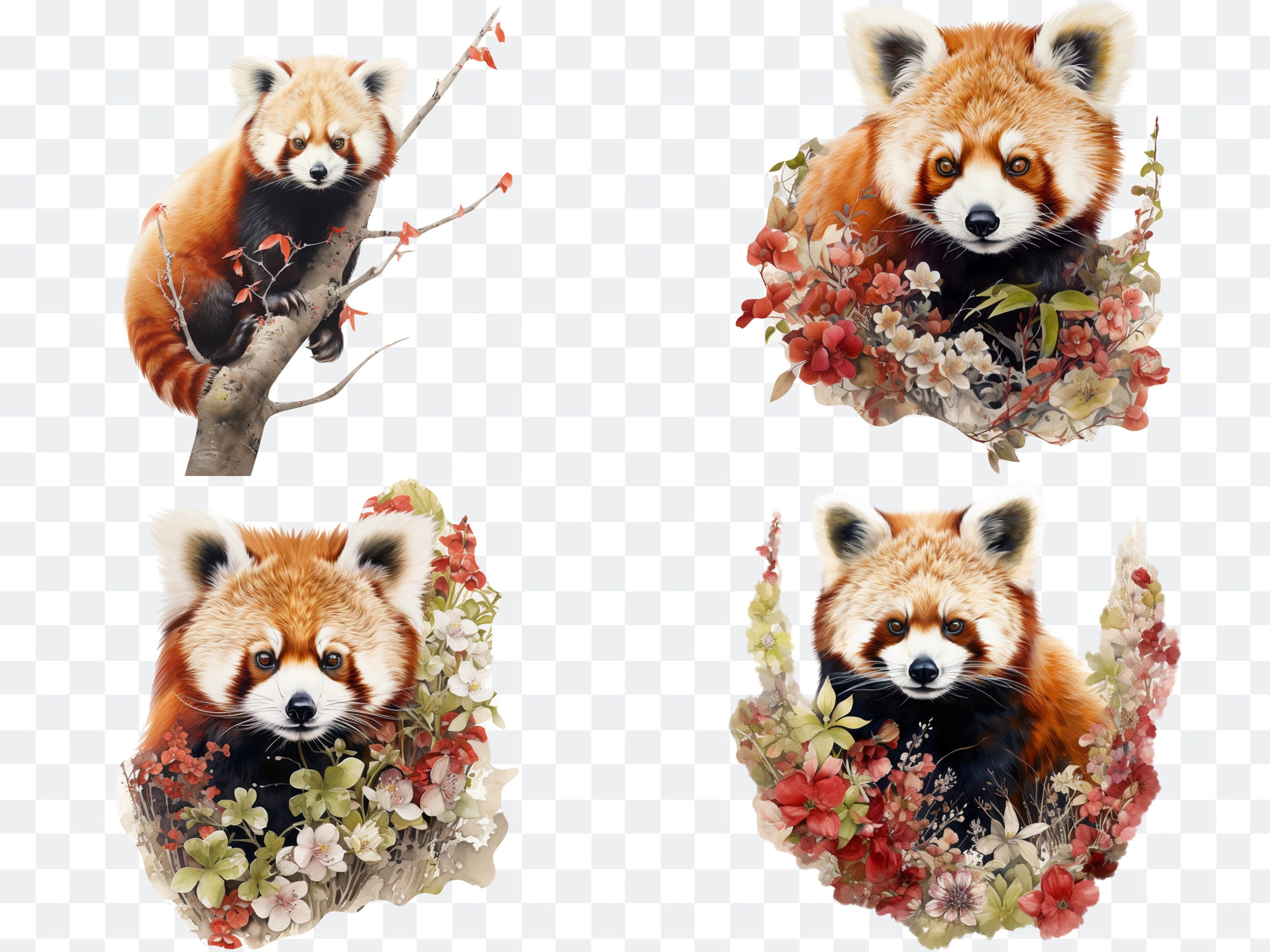 Watercolor Red Panda PNG Clipart Bundle Instant Download Red - Etsy
