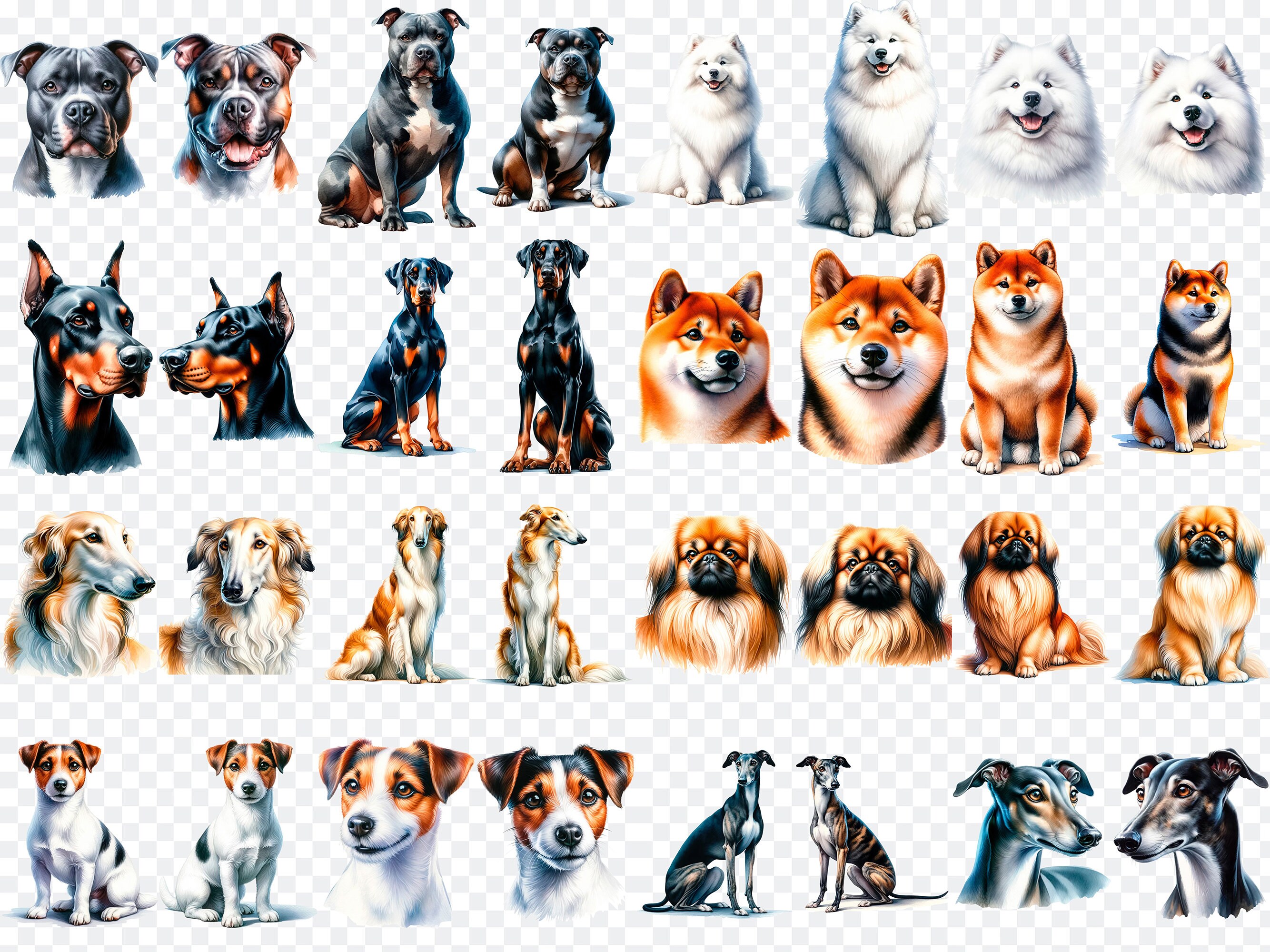 Watercolor Dogs Clipart PNG Clipart Bundle, Instant Download, Dogs ...