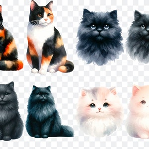Watercolor Cats Clipart PNG Clipart Bundle, Instant Download, Cute Cat ...