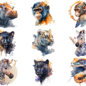 Watercolor Safari Animals PNG Clipart Bundle, Africa Wild Animals, Lion ...