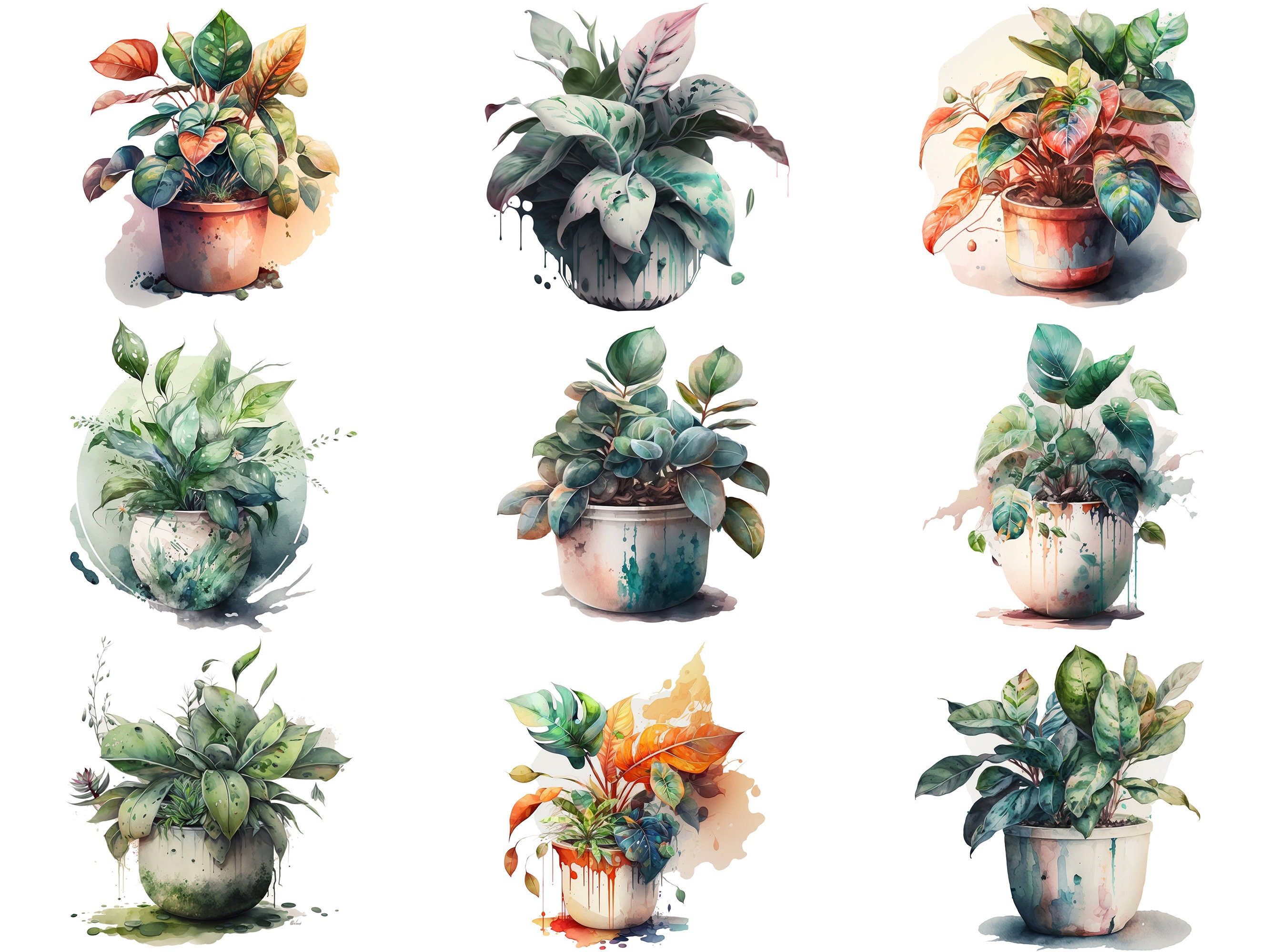 Watercolor Plants in a Pot PNG Clipart Bundle, Scrapbooking, Greenery ...